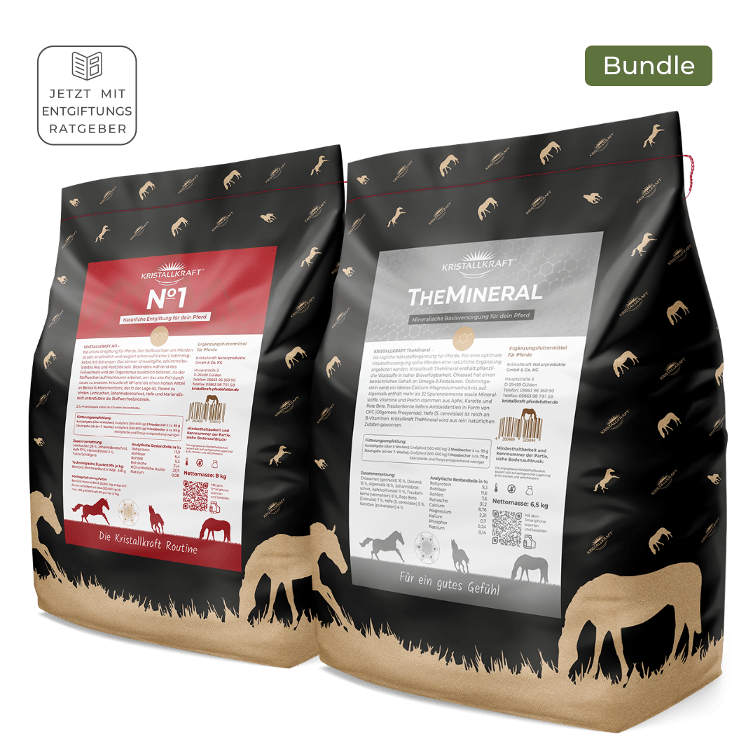 Kristallkraft Basic Bundle