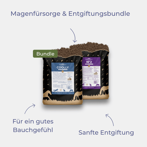 Kristallkraft Coolly ⇒ Die Sanfte Fürsorge für Dein Pferd!
