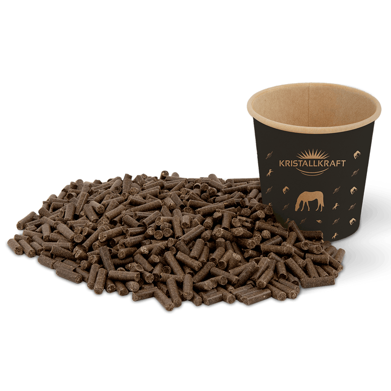 Kristallkraft Coolly ⇒ Die Sanfte Fürsorge für Dein Pferd!