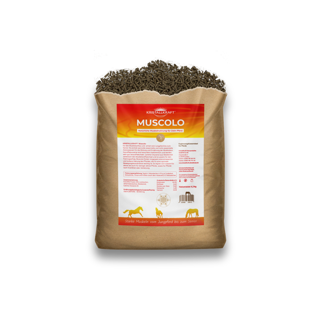 Kristallkraft Muscolo - Natürliche Muskelnahrung für Dein Pferd