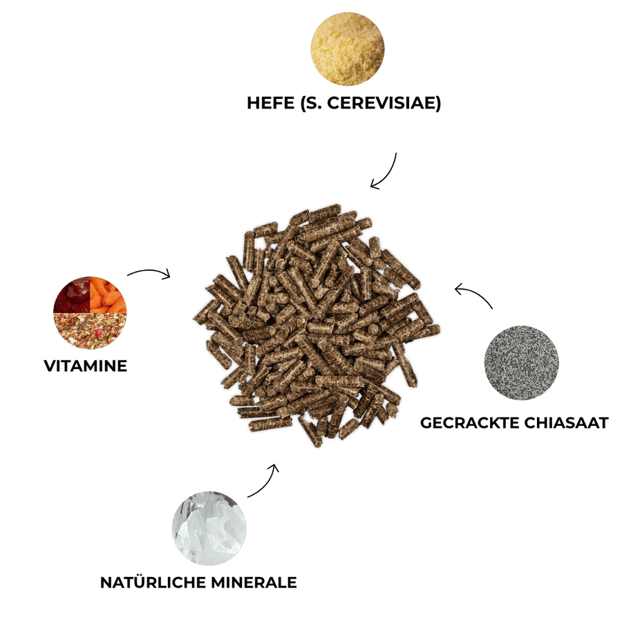 Basisversorgung für Dein Pferd – Kristallkraft TheMineral