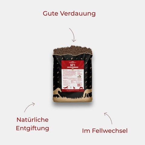 Magenfutter für dein Pferd kaufen – Kristallkraft Coolly