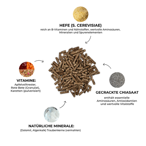 Basisversorgung für Dein Pferd – Kristallkraft TheMineral